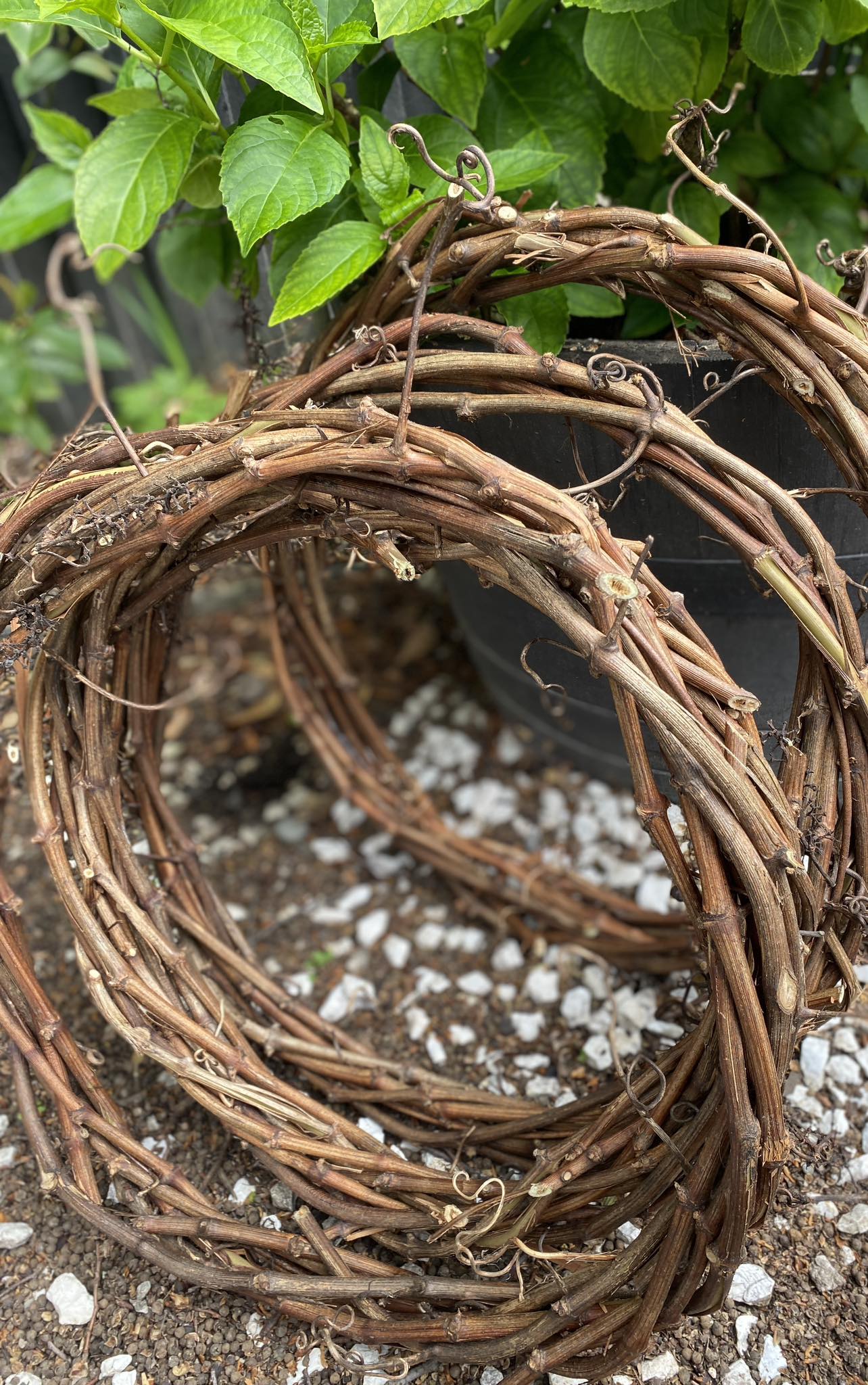 Grape Vine Wreath Bases – McKay & Co Florist